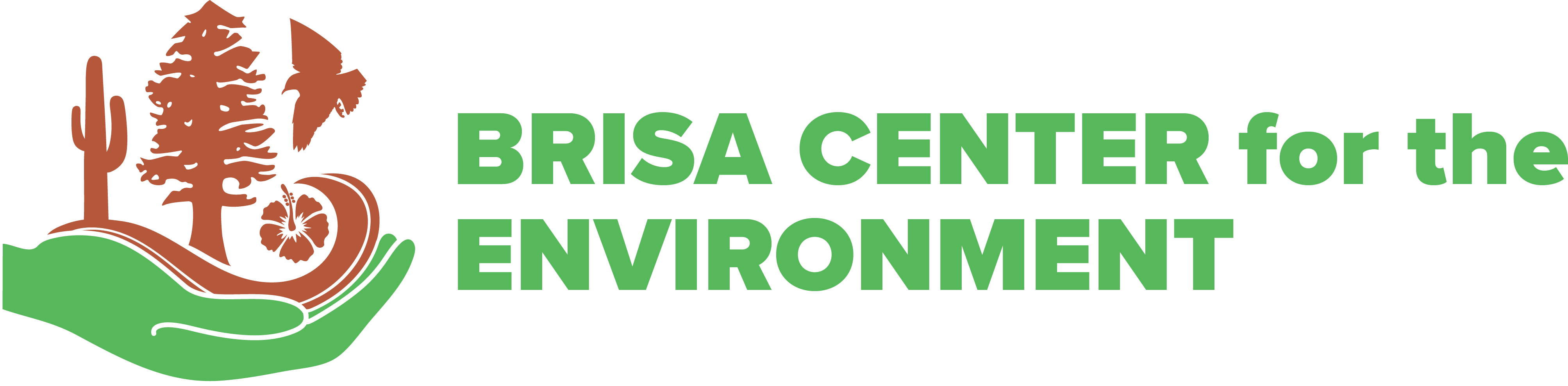Hayden Poinier | BRISA Center